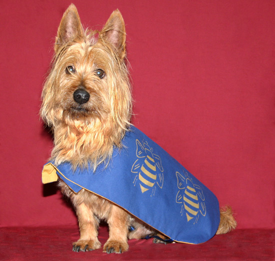 Heraldic Dog Coat
